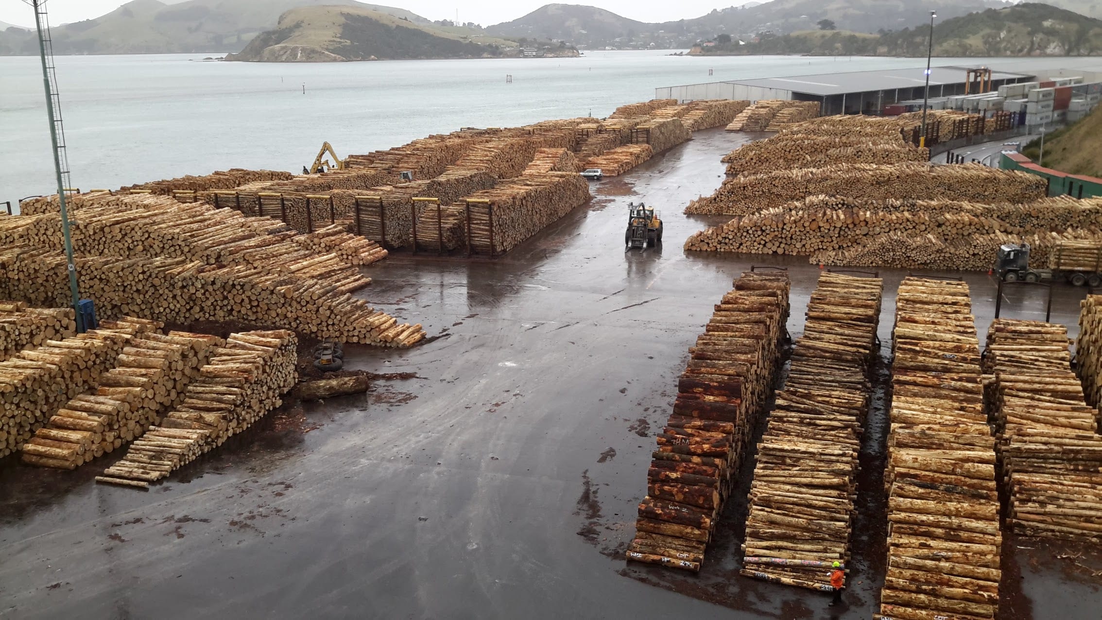 NZ Timber Cruise Express